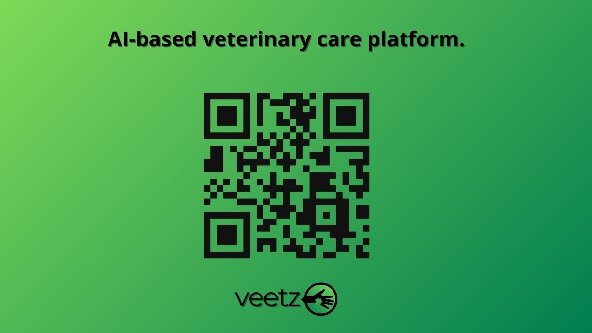 Veetz Learning Hub | Tutorials & Guides | Veetz Documentation ...
